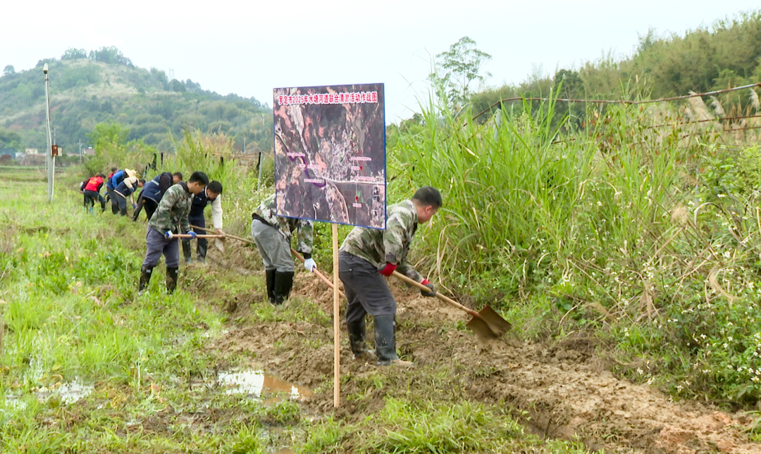 罗定：全面加强河道清淤 推动水环境、人居环境再提升